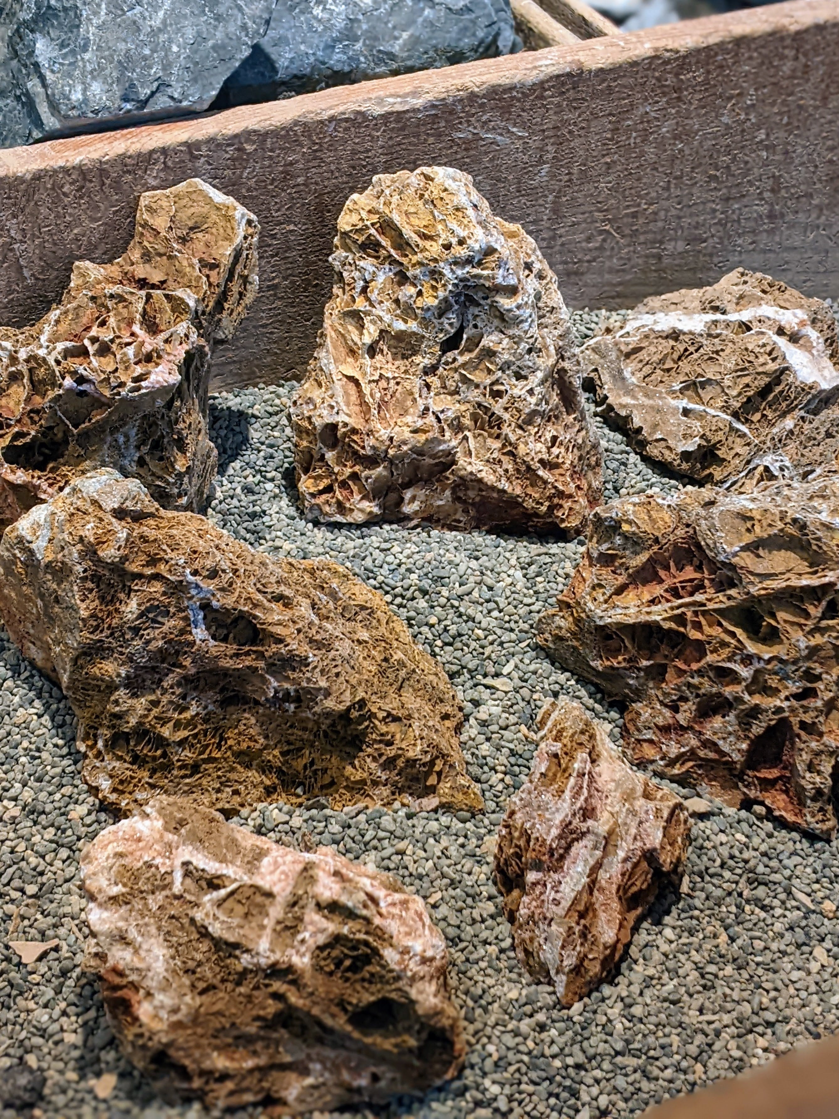 Fong/Maple Leaf Stone For Sale - Aquarium Zen | Aquarium Zen, LLC